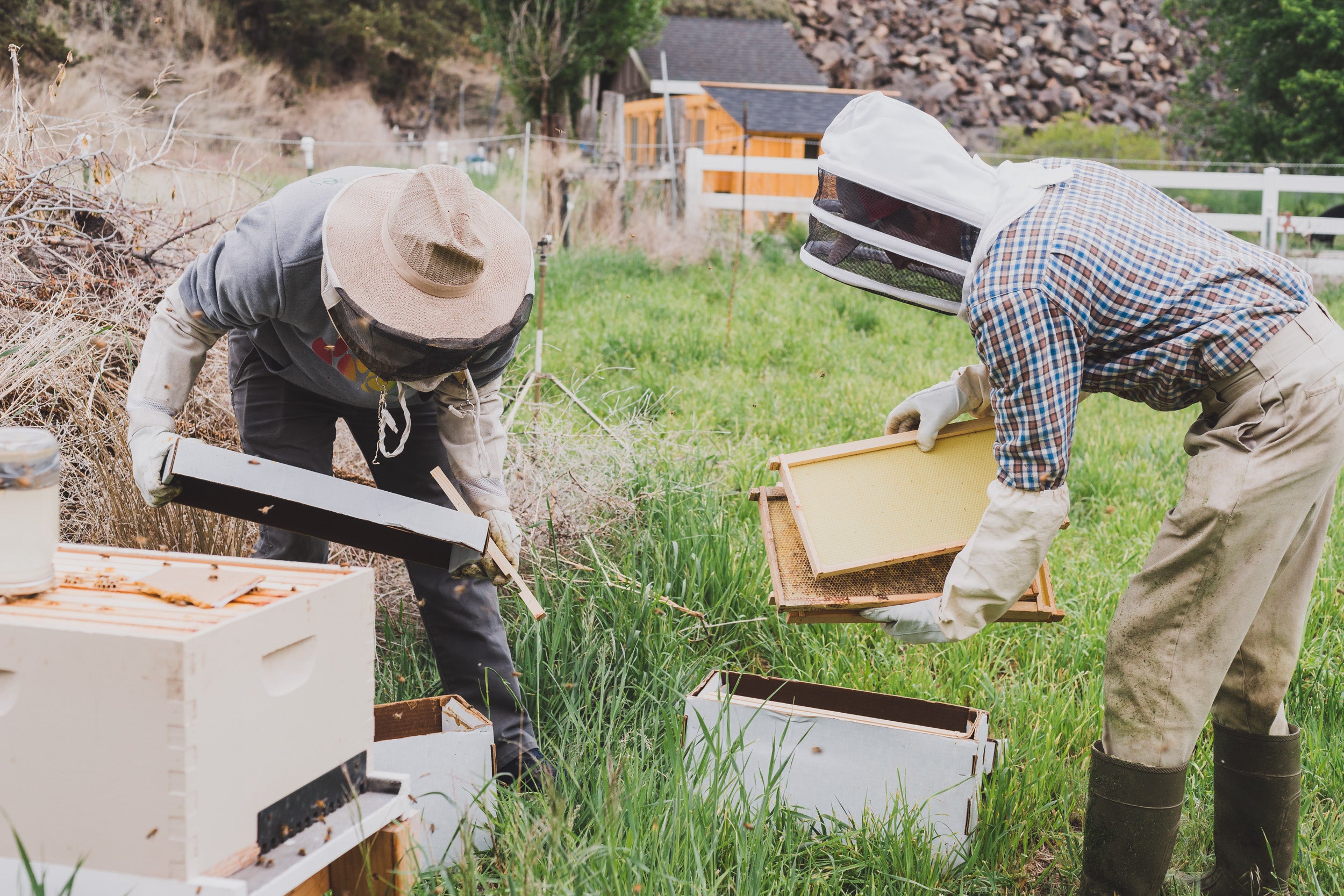 About – Broadus Bees