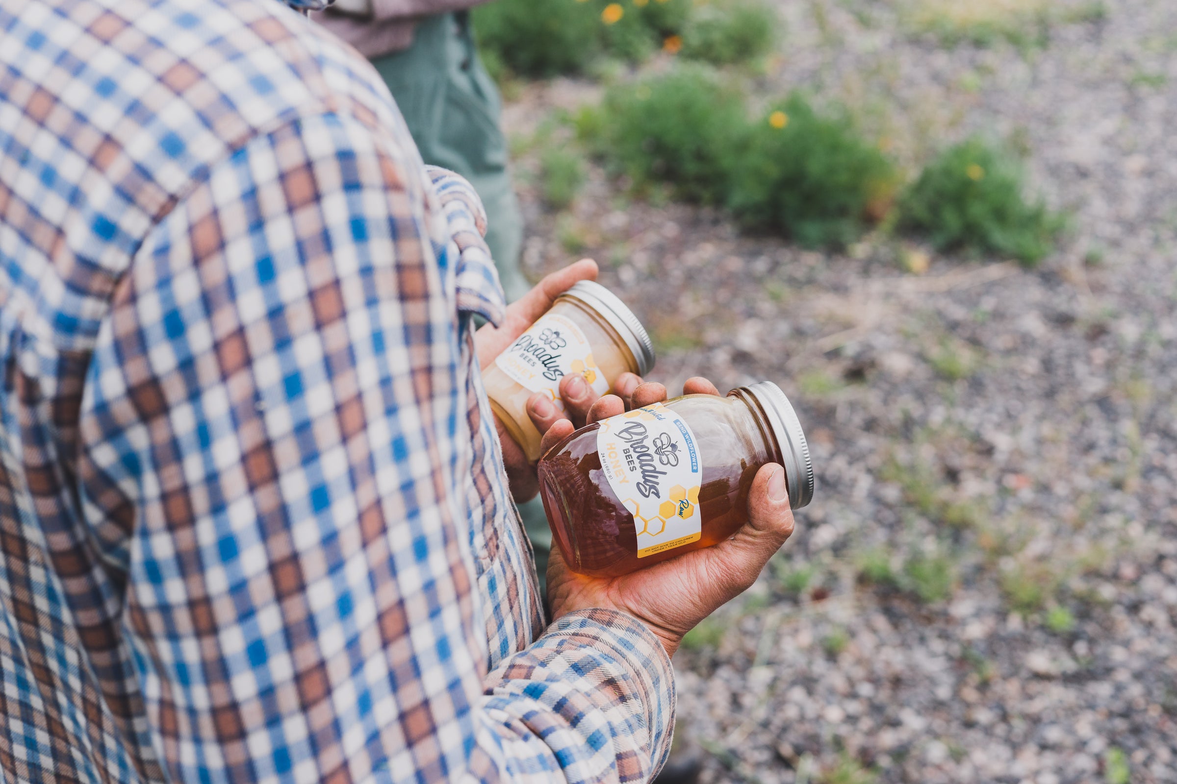 Raw Oregon Honey | Broadus Bees